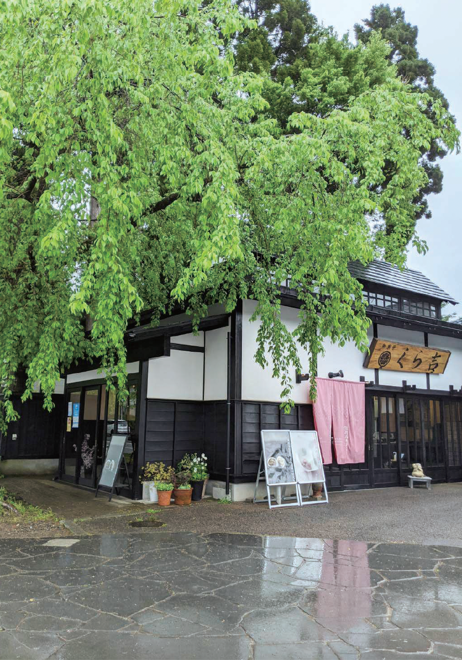 「ホンモノの地方創生」を実現するために。人口2,450人の秋田県東成瀬村が出資する、IT企業の創業秘話｜なるテックのストーリー｜PR TIMES STORY