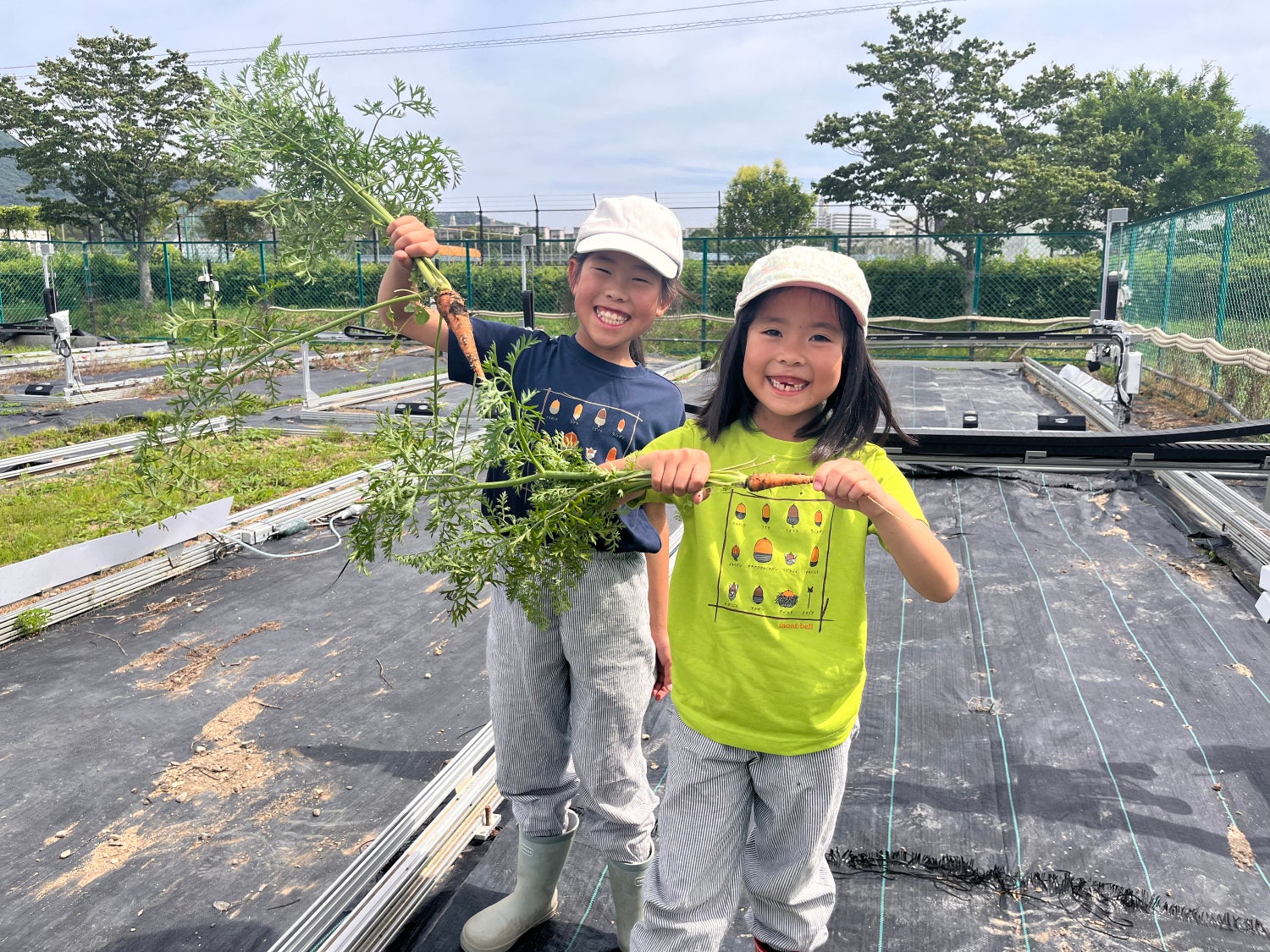 自宅から農業!?姫路市の子供たちがアグリテックを駆使した未来の農業体験に挑戦|株式会社プロキッズのストーリー|pr Times Story
